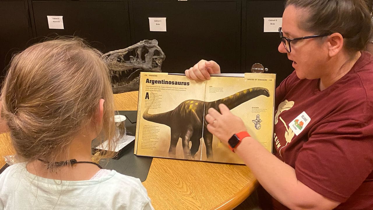 Education | Culture & Heritage Museums