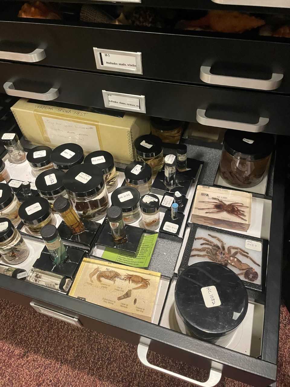 Spooky Fun at MYCO | Culture & Heritage Museums